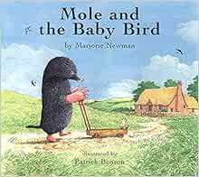 Mole and the Baby Bird: Newman, Marjorie, Benson, Patrick ...