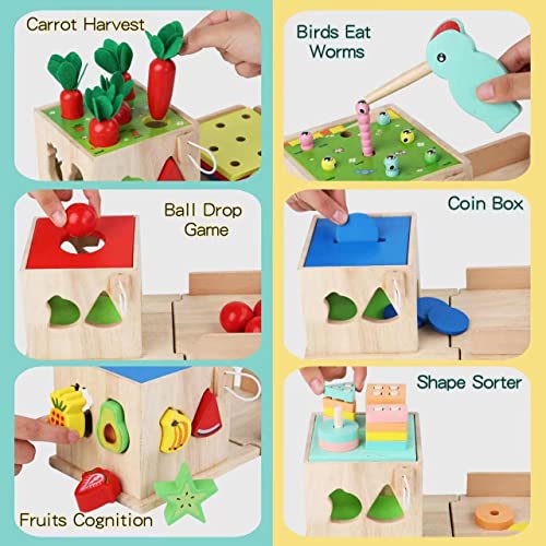 6 in 1 Montessori Toys for 1 2 3 Year Old Boy Girl, Play Kit Includes ...