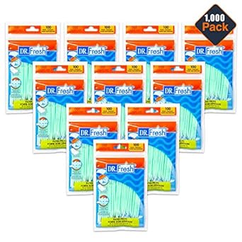 Amazon.com: 10 pk (100 ct each) Soft Bristle Dental Floss Picks ...