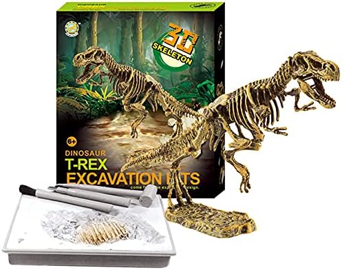 سعر Dinosaur Fossil Digging Kit for Kids and Adult, STEM Science ...