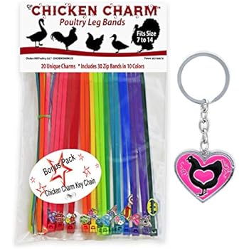 Amazon.com: 20 Chicken Charm Poultry Leg Bands - Includes Americas ...
