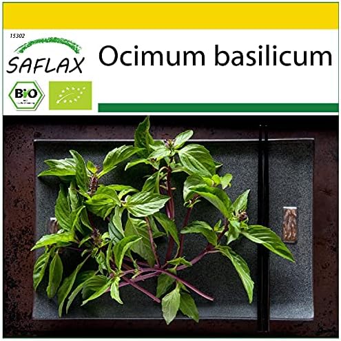 Organic - Basil Thai - 250 Seeds - Ocimum basilicum price in Saudi ...