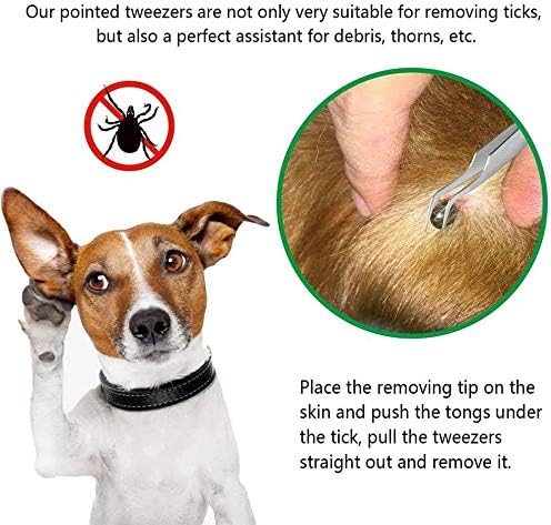 EasyULT Tick Remover, Sided Stainless Steel Tick Remover, with Storage ...
