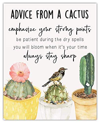 Amazon.com: Inspirational Wall Art: Advice From A Cactus Motivational ...