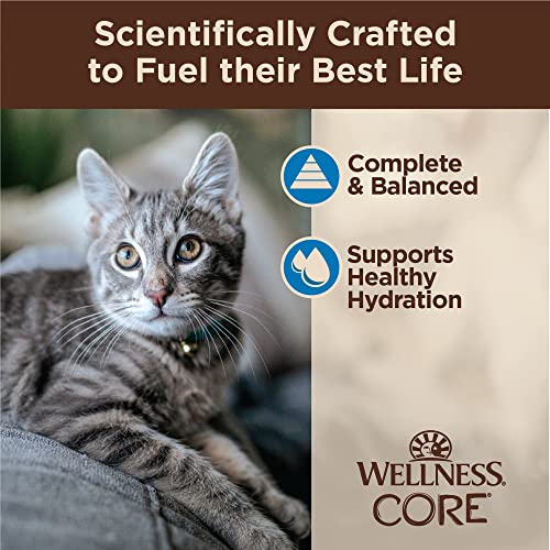 Wellness Core Cat Food Wellness CORE Tiny Tasters Grain-Free Wet Cat ...