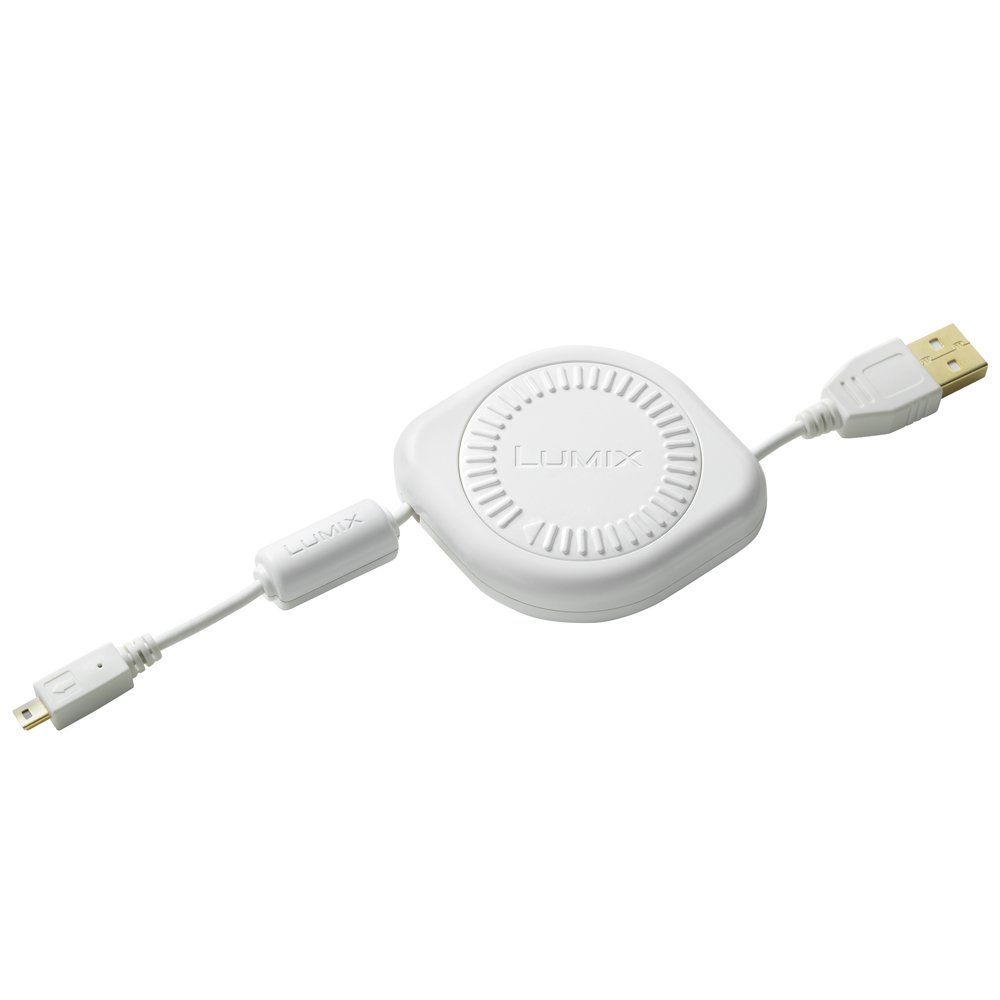 Buy Panasonic DMW-USBC1 USB Connection Cable (White) Online at Low ...
