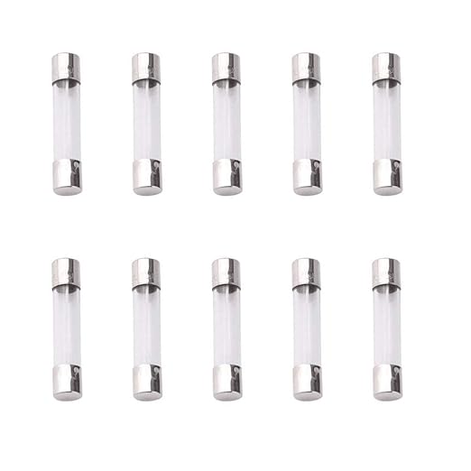 Pack of 10 pcs F10AL Fast-Blow Fuse 10A 250V Glass Fuses 6 x 30 mm (10A ...