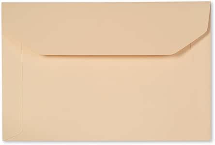 Amazon.com : ALL-STATE LEGAL Document Envelope, File Envelope, Document ...