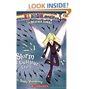 Storm: The Lightning Fairy (Rainbow Magic: The Weather Fairies, No. 6 ...