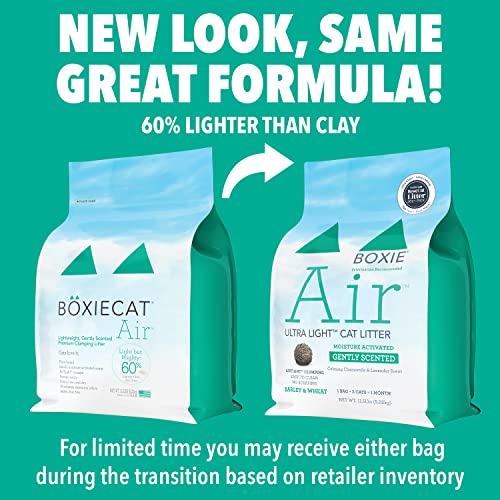 Boxiecat Air Lightweight Premium Clumping Cat Litter -Gently Scented ...