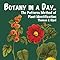 Botany in a Day: The Patterns Method of Plant Identification: Thomas J. Elpel: 8601400138540 ...