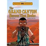 The Field Trip Mysteries: The Symphony That Was Silent: Brezenoff ...