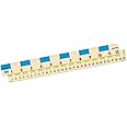 Amazon.com: EAI Education My First Ruler 12" - Set of 10 : Office Products