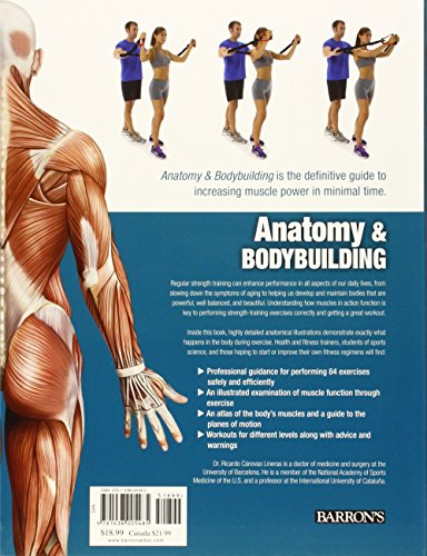 Anatomy & Bodybuilding: A Complete Visual Guide - Want It All