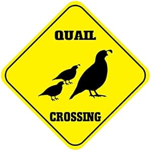 Amazon.com : Fastasticdeals Quail Crossing Funny Metal Aluminum Novelty ...