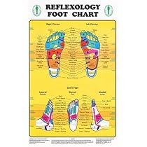 Reflexology Points Foot Map 31 Printable Foot Reflexology Charts