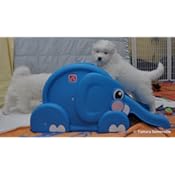 Amazon.com: Step2 Up And Down Elephant: Toys & Games