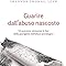 Amazon.it: Guarire dall'abuso nascosto. Un percorso attraverso le fasi ...