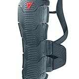 Dainese Manis Back Protector Review - webBikeWorld