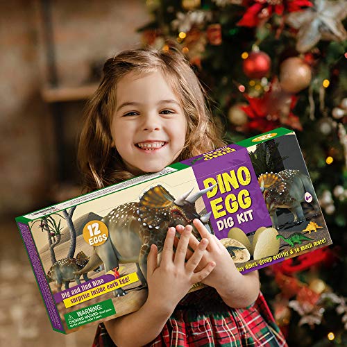 XXTOYS 𝐃𝐢𝐧𝐨 𝐄𝐠𝐠 𝐃𝐢𝐠 𝐊𝐢𝐭, Dig a Dozen Dinosaur Eggs Excavation Kits with ...