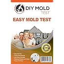 DIY Mold Test, Mold Testing Kit (3 tests). Lab Analysis and Expert ...