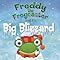 Freddy the Frogcaster and the Big Blizzard: Janice Dean: 9781621572541 ...