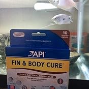 Amazon.com: API FIN & BODY CURE Freshwater Fish Powder Medication 10 ...