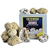 Combo Pack - 13 Large Break Open Your Own Geodes - Mexican Trancas ...