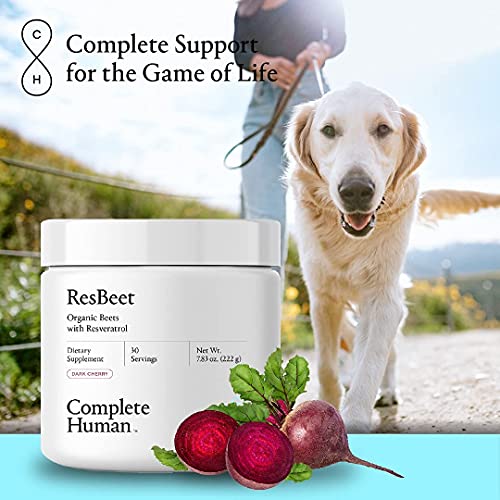 Complete Human - ResBeet, Organic Beet Root Powder Supplement with ...