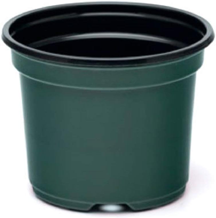 Amazon.com: 10 inch Azalea Pots, (Qty. 10), Lightweight, Nursery Pots ...