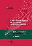 Brandschutz in Europa - Bemessung nach Eurocodes: Erläuterungen und ...