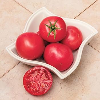 Amazon.com : Park Seed Sugar Rush Hybrid Tomato Seeds : Garden & Outdoor