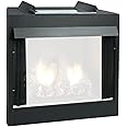 Amazon.com: Empire VFD42FB0F Deluxe 42" Vent-Free Flush Gas Firebox ...
