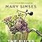 The Rules of Love and Grammar: Simses, Mary: 9780316382083: Amazon.com ...