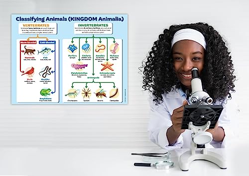 ZOCO - Biology Posters 2 Pack: Hierarchy Of Biological Classification ...