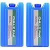 Amazon.com: Secret Flask Looks Like an Ice Pack. Great Hidden Flask for ...