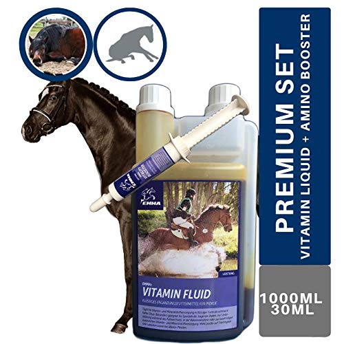 Buy Emma® s + amino s booster I zinc selenium I A D E B-complex B1 B2 ...