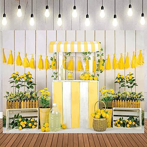 Lemon Fruit Party Photography Backdrop Photo Shoot Birthday Newborn ...