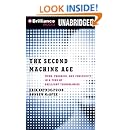 The Second Machine Age: Work, Progress, and Prosperity in a Time of ...