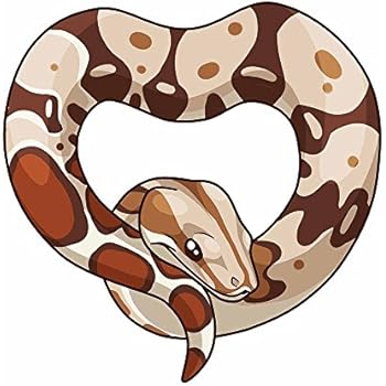 Amazon.com: Ball Python Heart Snake Decal -Indoor and Outdoor use ...