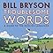 Troublesome Words: Amazon.co.uk: Bryson, Bill: 9780141040394: Books