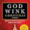 Godwink Christmas Stories: Discover the Most Wondrous Gifts of the ...