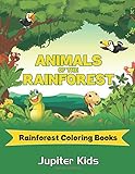 Rain Forest Coloring Book: Annika Bernhard: 9780486401126: Amazon.com ...