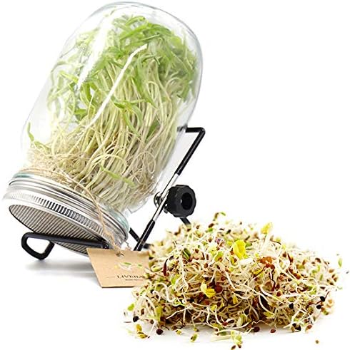 LIVEBAY Sprouting Jar Kit Stainless Steel Kitchen Sprouting Lids and ...