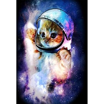 Amazon.com: TeeShirtPalace Astronaut Cat in Space Poster (Large (18"x24 ...