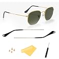 Amazon.com: Replacement Temple Arm,Temple Tips for Ray ban RB3447 ...