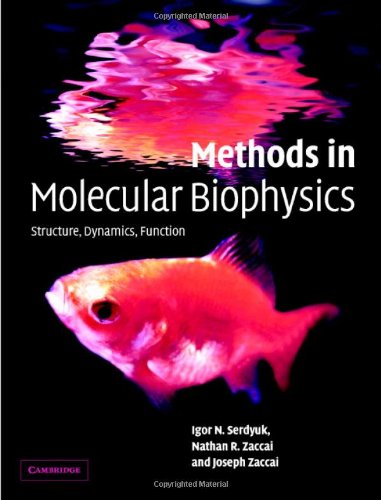 Amazon.com: Methods in Molecular Biophysics: Structure, Dynamics, Function: 9780521815246 ...