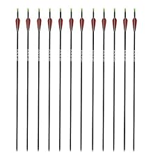 GPP Carbon 30-Inch Arrows with Field Points Replaceable Tips (12 Pack ...