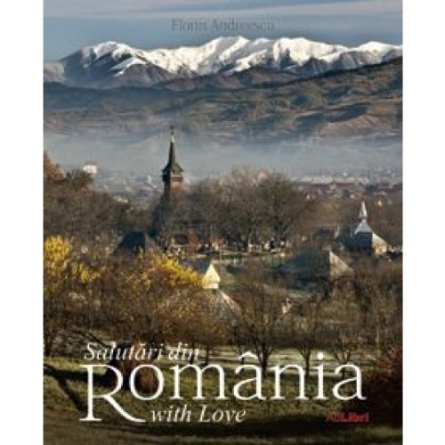 SALUTARI DIN ROMANIA : FLORIN ANDREESCU: Amazon.es: Libros