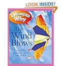 I Wonder Why the Wind Blows: Anita Ganeri: 9780753465226: Amazon.com: Books
